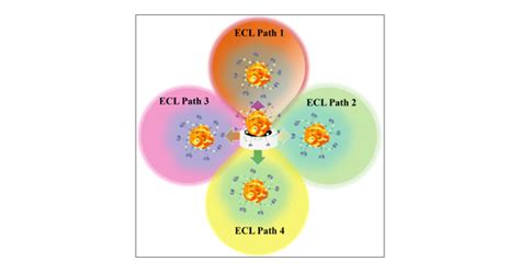 Supramolecular Anchored Copper Nanoclusters For A Multipath
