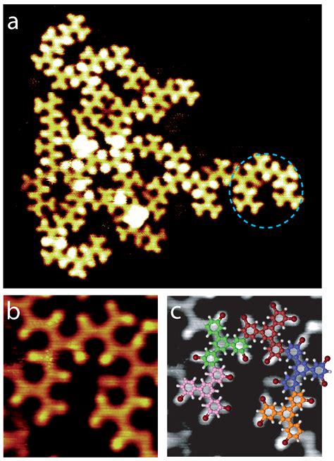 Toward Two Dimensional Tessellation Through Halogen Bonding Between