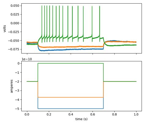 PatchView NWB Overview 0 1 Documentation