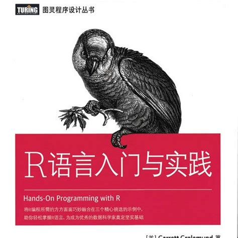 r语言入门与实践 百度百科