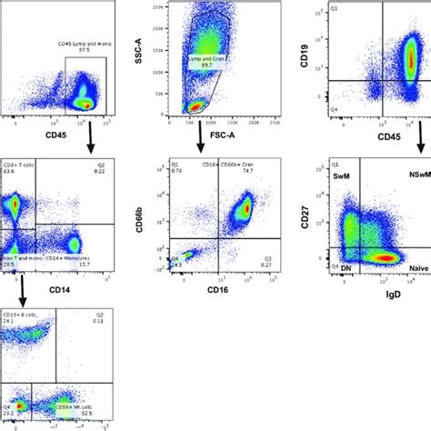 Gating Strategies A T Cells Cd45 Cd3 Cd14− Monocytes Download