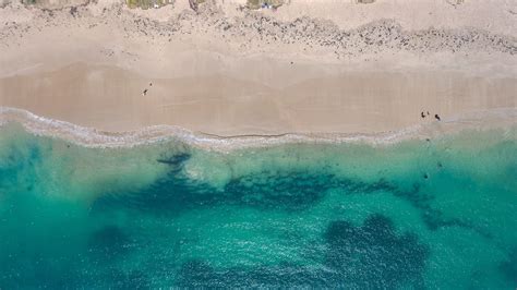 Destination Guides Nexus Airlines
