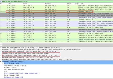 Packet Flow Analysis Techlibrary Juniper Networks