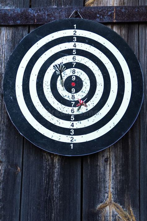 Dartboard Against Old Tree Background Two Darts Hit The Target Of A