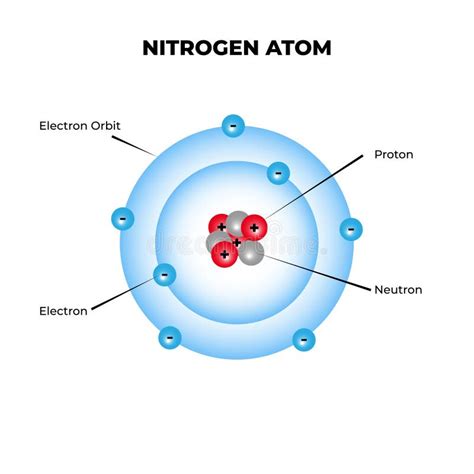 Bohr Atomic Model Of A Nitrogen Atom Vector Illustration For Science