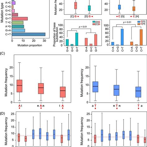 Mutation Spectra And Context Sequences A The Whole‐genome Mutation Download Scientific