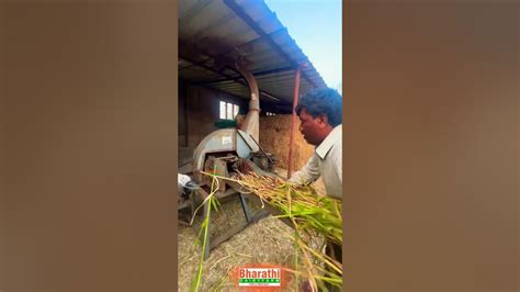 Green Grass Cutting Process Bharathi Dairy Farm Greengrass Cutting