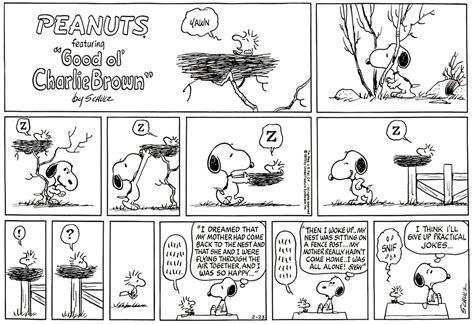 Snoopy Woodstock Peanuts Comic