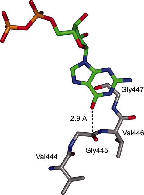 Orthogonal Dipolar Interactions Between Amide Carbonyl Groups Pnas