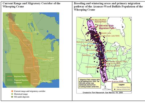 Whooping Crane Migration Route