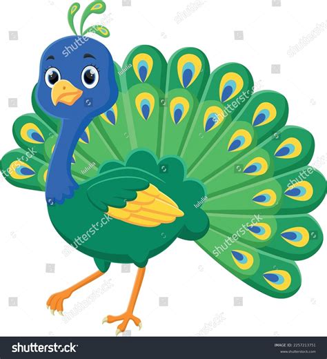 Beautiful Peacock Isolated On On White Stock Vector Royalty Free
