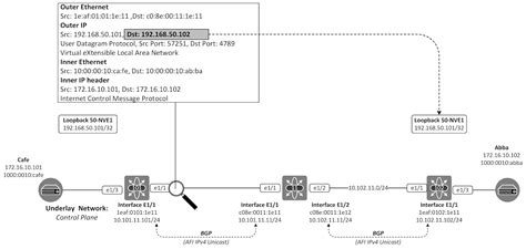The Network Times VXLAN Underlay Routing Part III Internal BGP