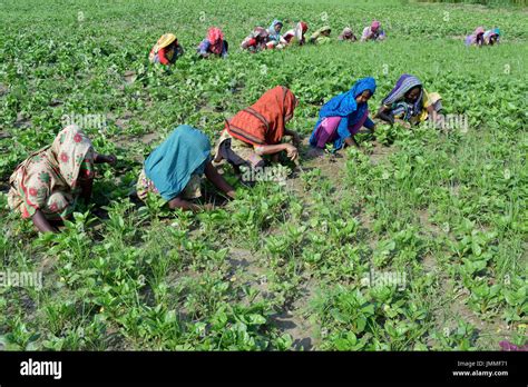 Dhaka Bangladesh 28th July 2017 Dhaka Bangladesh July 28 2017