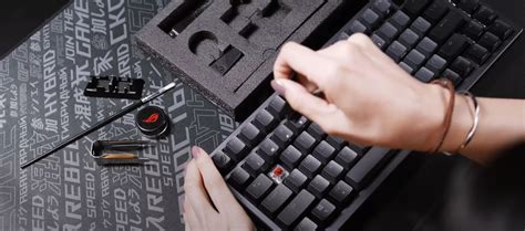 How To Lube Your Keyboard Switches For An Even Smoother Feel Rog Republic Of Gamers Global