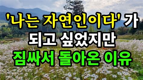 나는 자연인이다가 되고 싶었지만 짐싸서 돌아온 이유 원더풀 인생후반전 Youtube