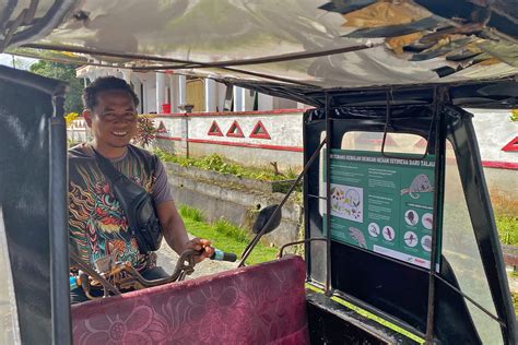 To Win Island Wide Conservation Indonesias Talaud Bear Cuscus Needs