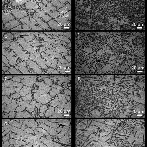 Optical Microstructure Of A Al 7si B Al 7si 1zn C Al 7si 2zn