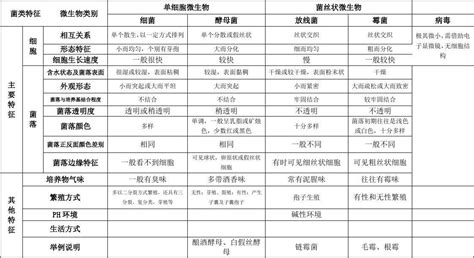 细菌、酵母菌、放线菌、霉菌比较 Word文档在线阅读与下载 无忧文档