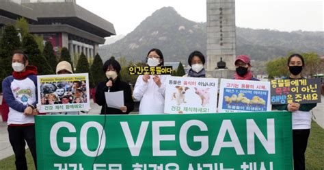 포토 비건 지향하는 사람들