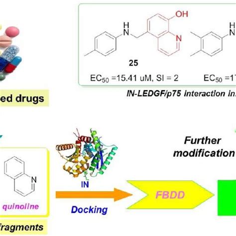 Schematic Diagram Illustrating The Substrate Envelope Hypothesis Download Scientific Diagram
