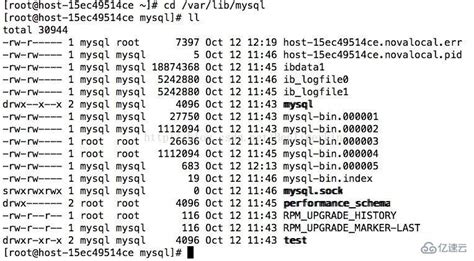 Linux Mysql Mysql