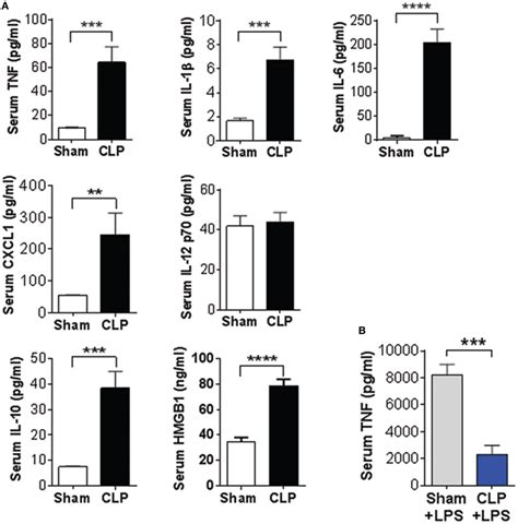 Cecal Ligation And Puncture Clp Sepsis Alters Circulating Cytokine