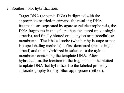 Ppt Chapter 5 Nucleic Acid Hybridization Assays A Preparation Of Nucleic Acid Probes