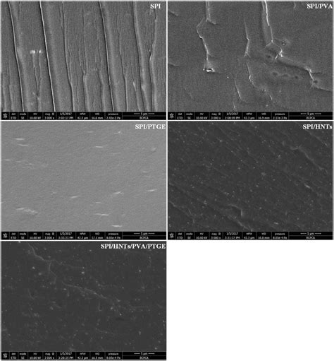 Cross Sectional Sem Photographs Of Spi Based Films Spi Spipva Download Scientific Diagram