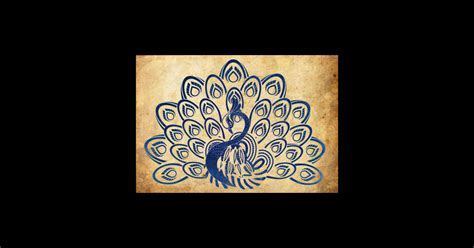 Peacock Peacock Sticker Teepublic