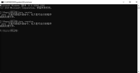 Java安装问题 组学大讲堂问答社区