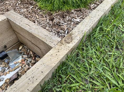 Byond Tutorial How To Make Pokémon Red Episode 1 Intro Open Source Rss13