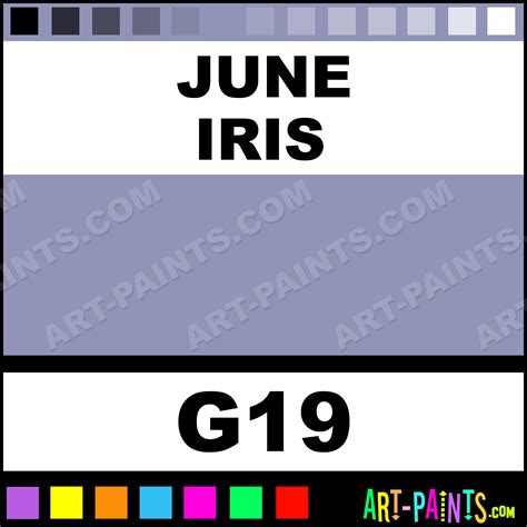 June Iris Casual Colors Spray Paints Aerosol Decorative Paints G19