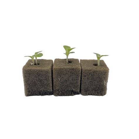Plant Growth Substrate Manufacturers Plant Growth Substrate Factory
