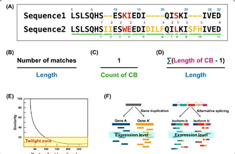 Illustration Of The Five Features A Two Amino Acid Sequences Download Scientific Diagram