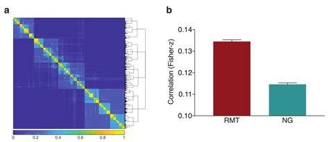 Group Derived Consensus Hierarchical Partitioning Using The Ng Null