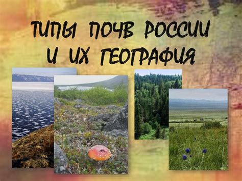 Типы почв России презентация онлайн