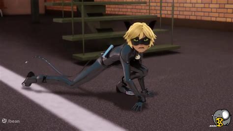 کفش دوزکی لیدی باگ انیمیشن دختر کفشدوزکی جدید، دختر کفشدوزکی و گربه