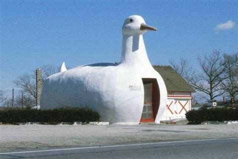 9 Weird And Wonderful Architectural Ducks Archdaily