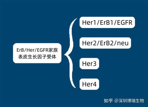 世界乳腺癌日 博瑞生物关爱女性健康，从预防开始 知乎