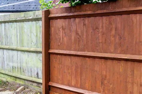 11 Perfect Colors For Your Garden Fence Gardenia Organic