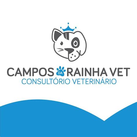 Comunicação Assertiva O Que é E Qual A Sua Importância Escola Do Saber