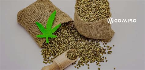 Difference Between Non Gmo And Gmo Seeds Gomiso