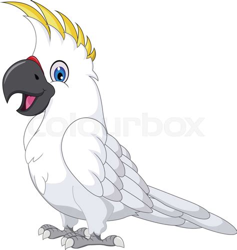 Cockatoo Cartoon Posing Stock Vector Colourbox