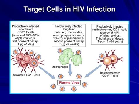 PPT HIV Pathogenesis PowerPoint Presentation ID 2753732