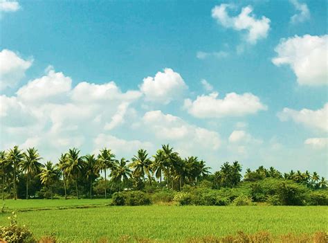 Green Grass Field Under Blue Sky And White Clouds During Daytime Photo