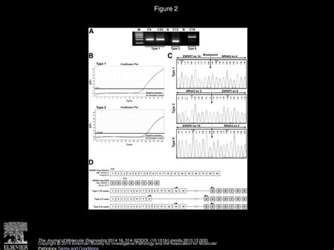Diagnostic Utility Of Molecular Investigation In Extraskeletal Myxoid