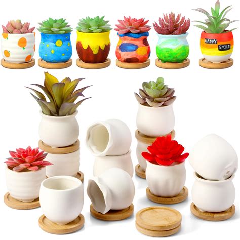 Remerry 12 Pcs Succulent Pots 25 Inch Ceramic Small Mini Pots Diy