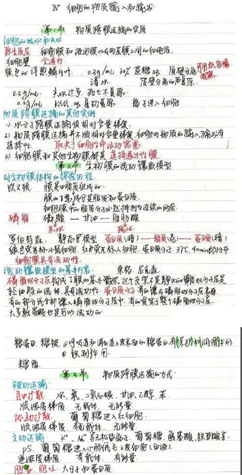 衡中学霸高中生物手写笔记高清无码