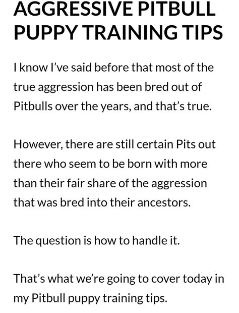 Aggressive Pitbull Puppy Training Tips Rbanpitbulls