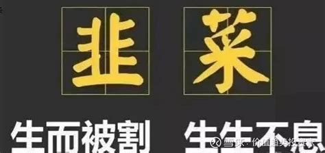在股市的涨跌中，融券卖出一直被视为下跌的罪魁祸首。然而，我们是否过于简单化这一现象？融券卖出，即投资者通过借入股票再将其 雪球